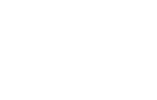 Homepage - She Should Run